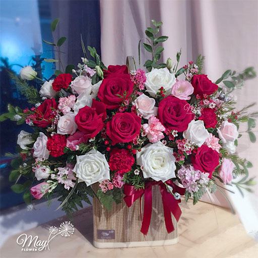 Hoa trăng - Cửa hàng hoa tươi May Flower